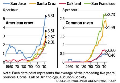 SearchReSearch: February 2015