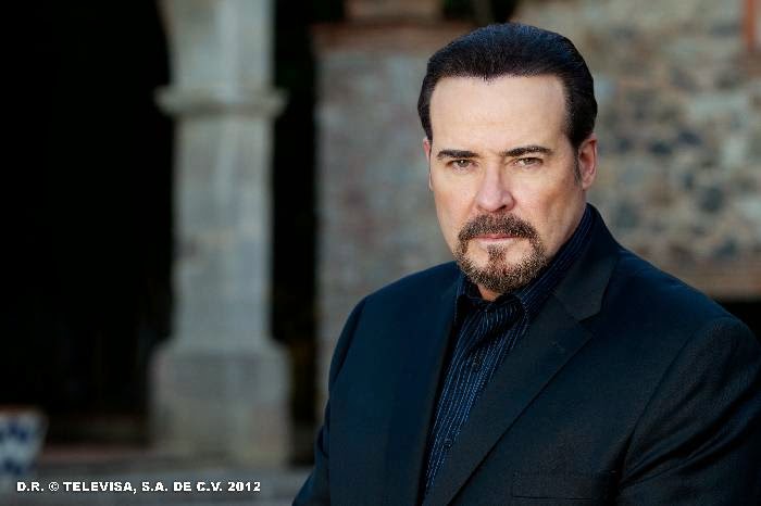 CARLOS OCHOA Y SUS NOVELAS: AMOR BRAVÍO CARLOS OCHOA Y SUS NOVELAS