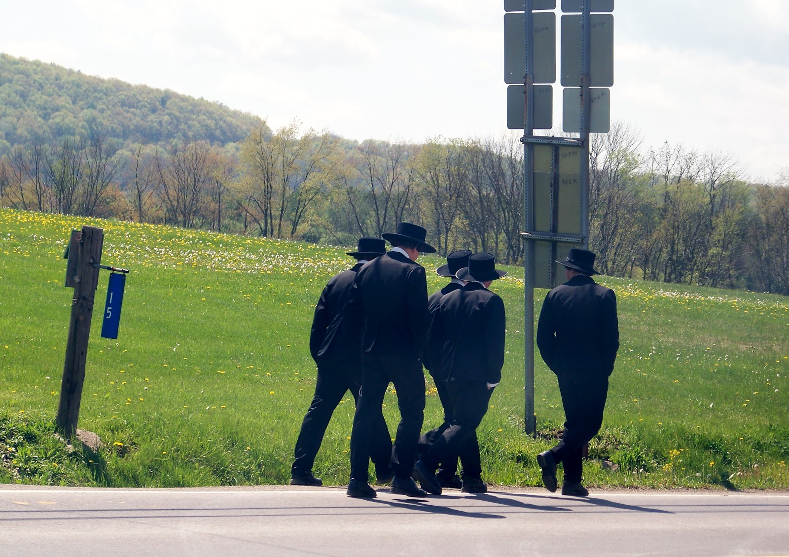 Landscape, Nature and Wildlife Photography done by Angie K. Johnson ...