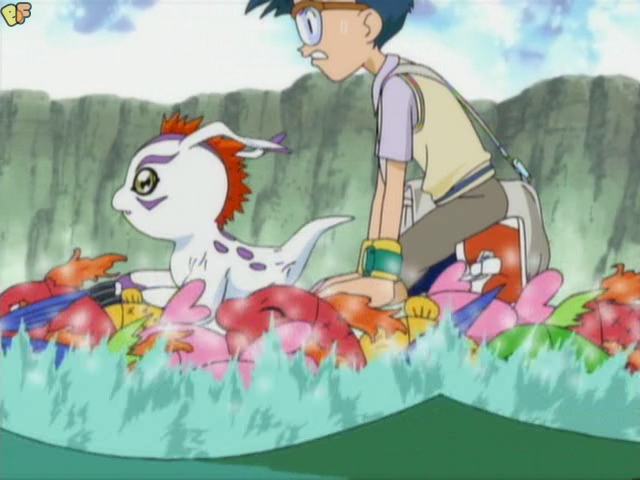 Digi-Arquivo: Gomamon ~ PMD || Acervo de Imagens de Digimon e Pokémon ...