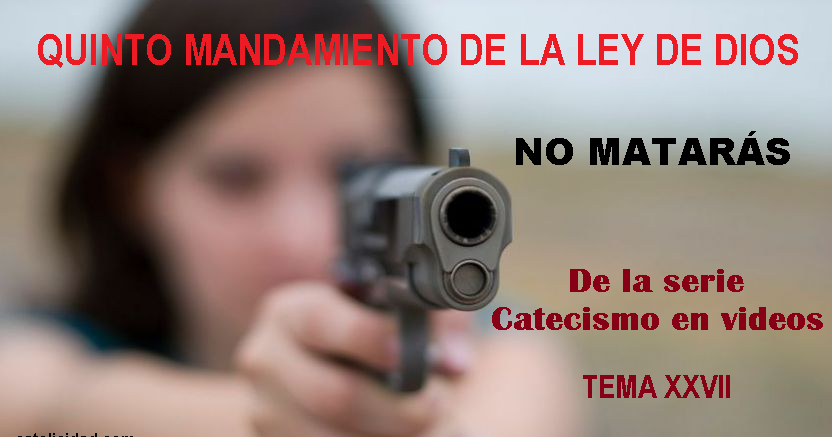 Catolicidad: EL QUINTO MANDAMIENTO DE LA LEY DE DIOS. NO MATARÁS ...
