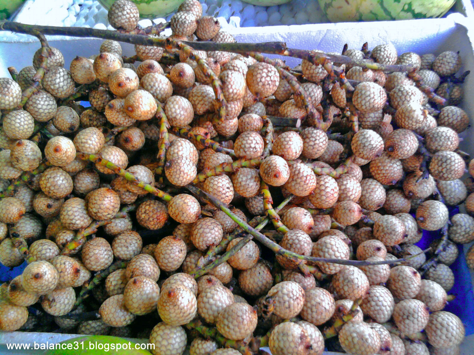 TRIP TO HISTORICAL CHURCHES IN NUEVA VISCAYA