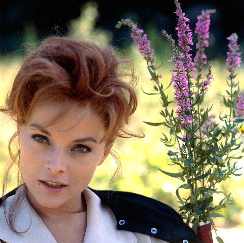 The Perfect Italian Beauty: 56 Georgous Photos of Young Virna Lisi From ...