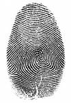 Fingerprint of God: 2. God' Fingerprint in Creation
