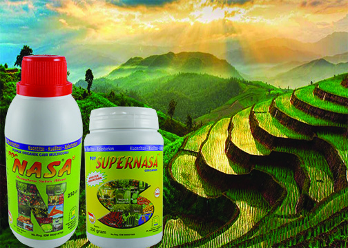 PUPUK NASA UNTUK PADI