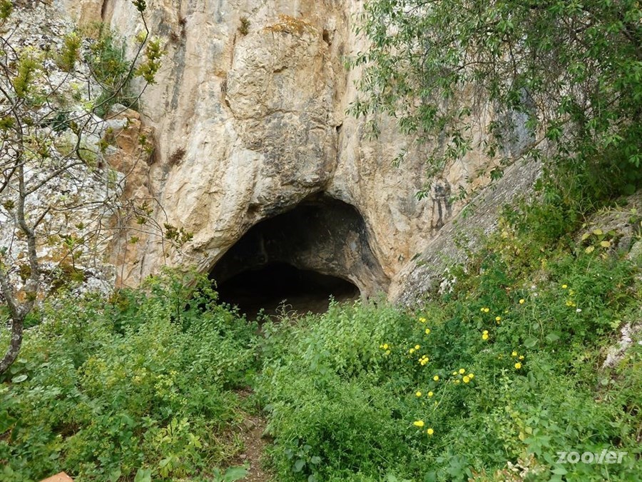 Historia de nuestro municipio