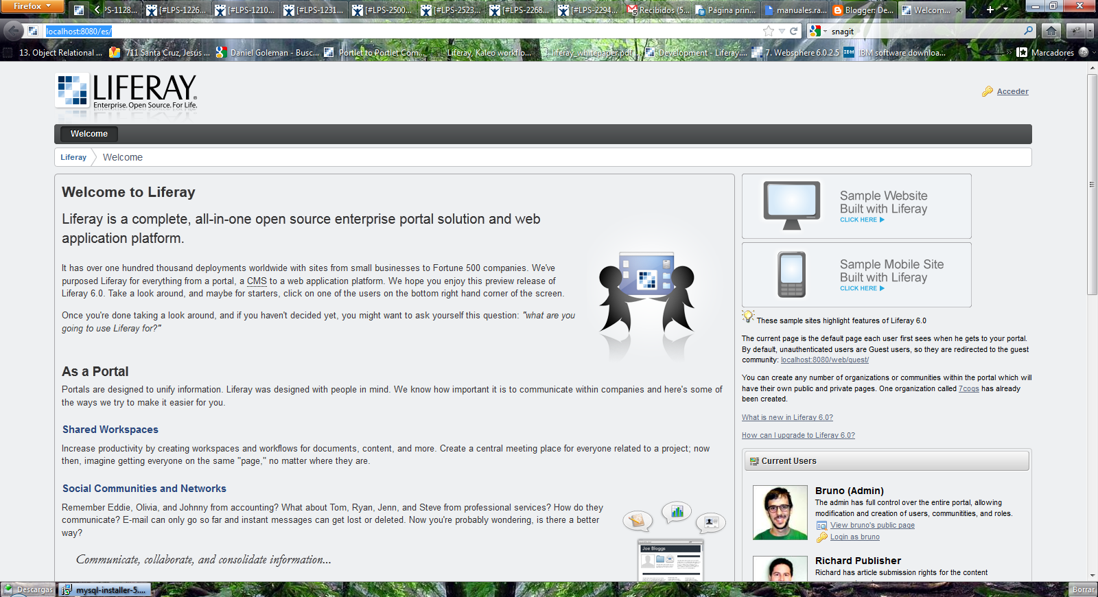 Liferay 6.0 : Instalacion con Apache Tomcat sobre Windows | Apuntes de ...