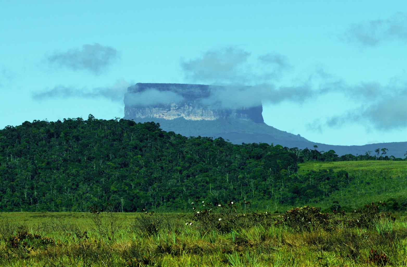 REVISTA RUTA'S: Sororopan y Ptari Tepuy