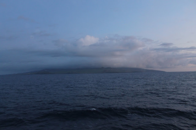 Biodiversidad de "El Bajío Profundo": ISLA CLARIÓN, ARCHIPIELAGO DE ...
