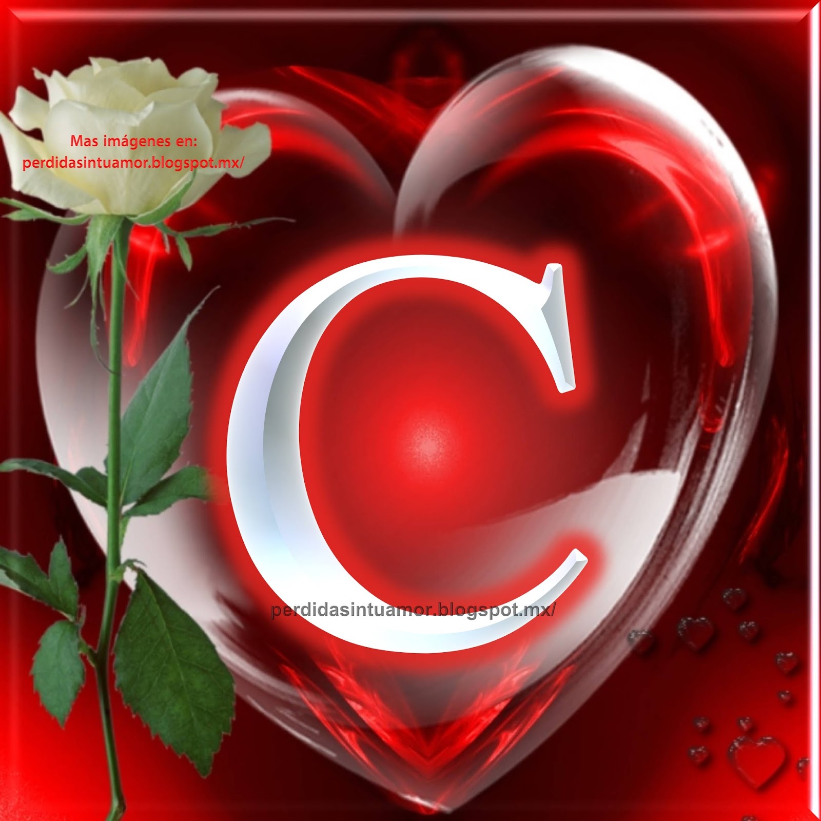 INICIALES Y NOMBRES PARA TI: TU INICIAL EN UN BELLO CORAZON