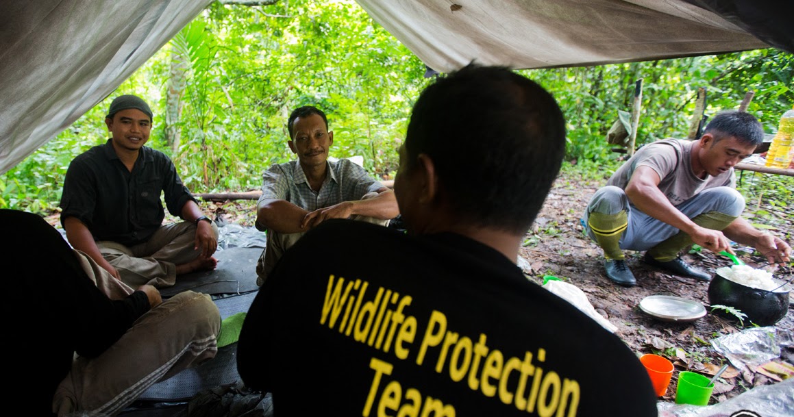 Wildlife Protection Team - LEUSER CONSERVATION FORUM