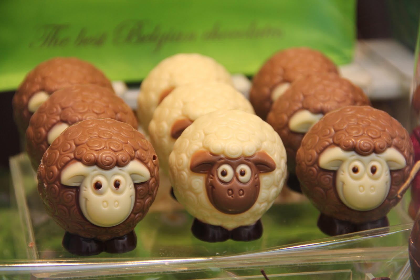 Little Green Bug: Belgian Chocolate