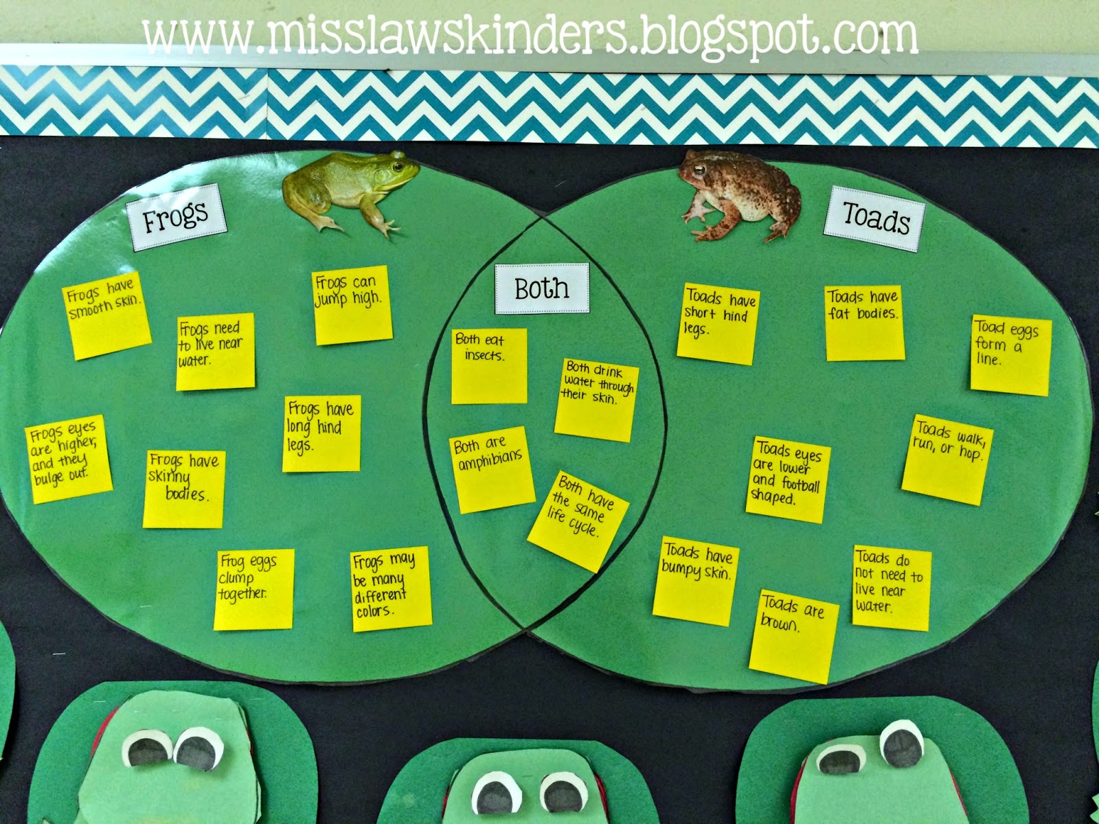 Miss Law's Kinders: Oviparous Animal Life Cycles-{Day 2: All About ...