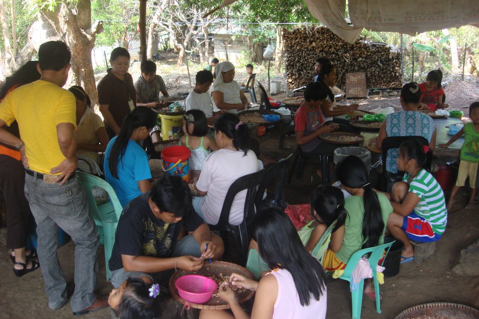 taga-balanga: My (Buto ng) Kasoy.. (Cashew nuts)