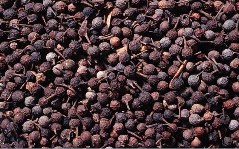 Pharmabroo: Daftar 20 Sediaan Obat Fructus