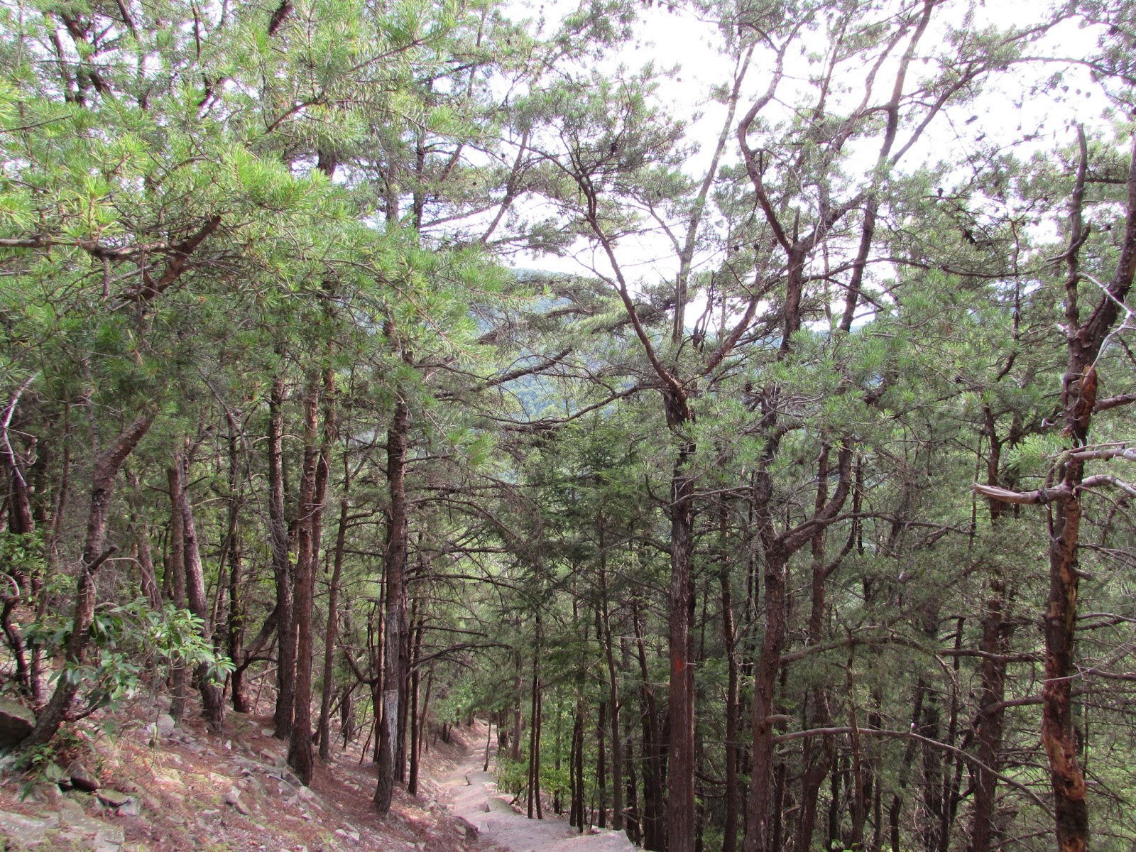 Standing Stone Trail and the Thousand Steps: Great Hike with Stunning ...