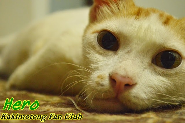 Koleksi Eksklusif Gambar Hero Dalam Kenangan ( 10 Gambar )