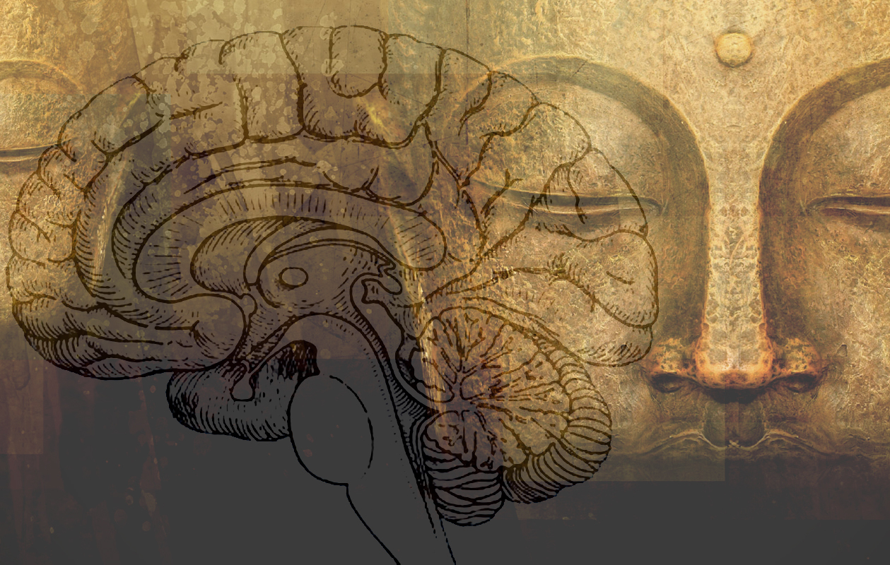 LOS SERES TULPA: Las tulpas