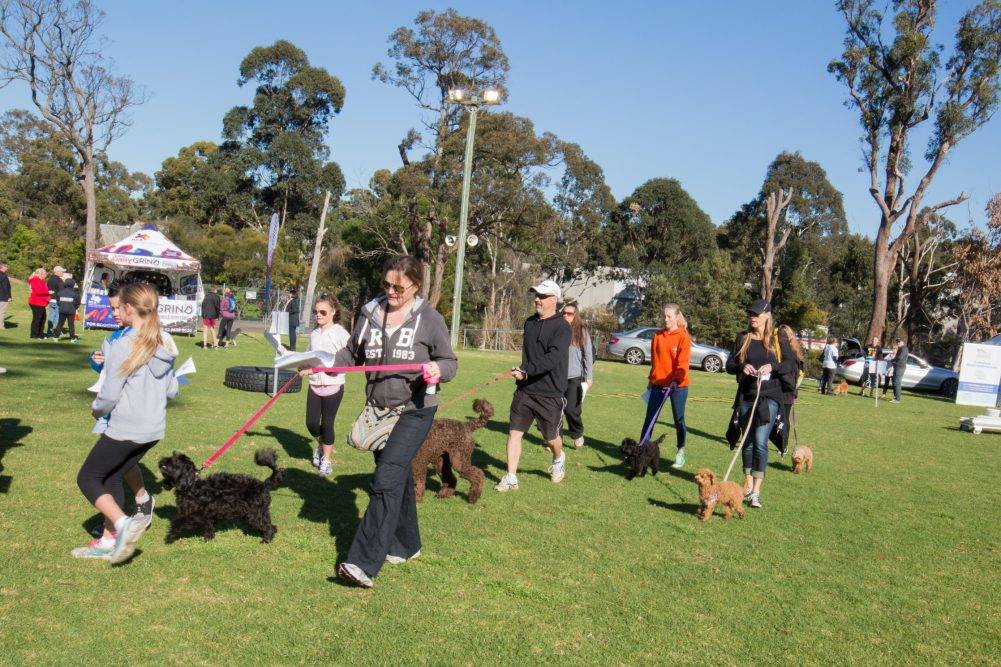 Pawsitive Steps, The Hills - August 28 | Australian Dog Lover