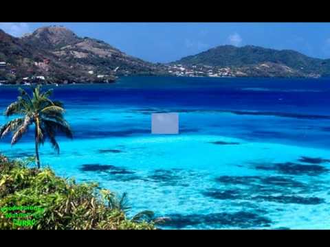 COLORES DEL MAR ~ BIOLOGIA MARINA