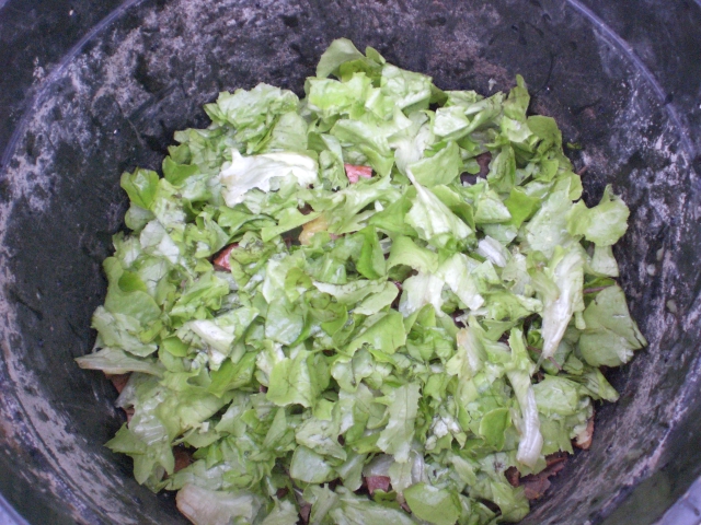 Cosas de casa: Cómo hacer compost