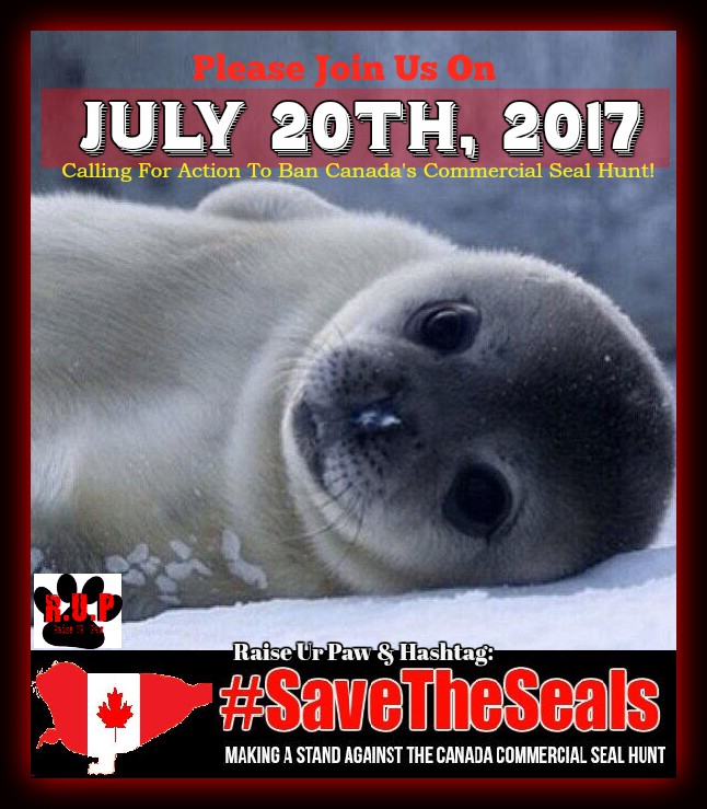 RAISE UR PAW NEWS: JULY 20th 2017 - SAVE THE SEALS CAMPAIGN - JOIN TODAY!
