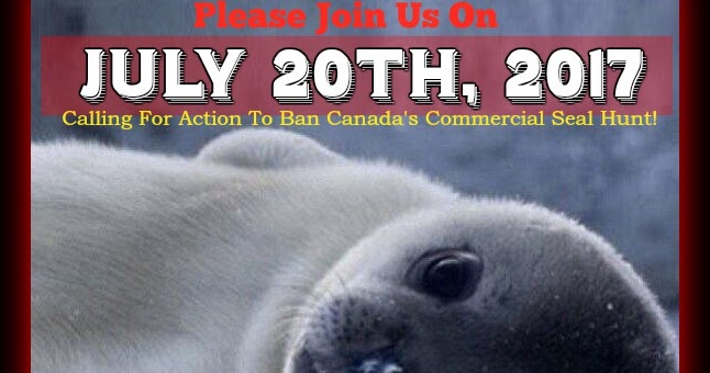 RAISE UR PAW NEWS: JULY 20th 2017 - SAVE THE SEALS CAMPAIGN - JOIN TODAY!