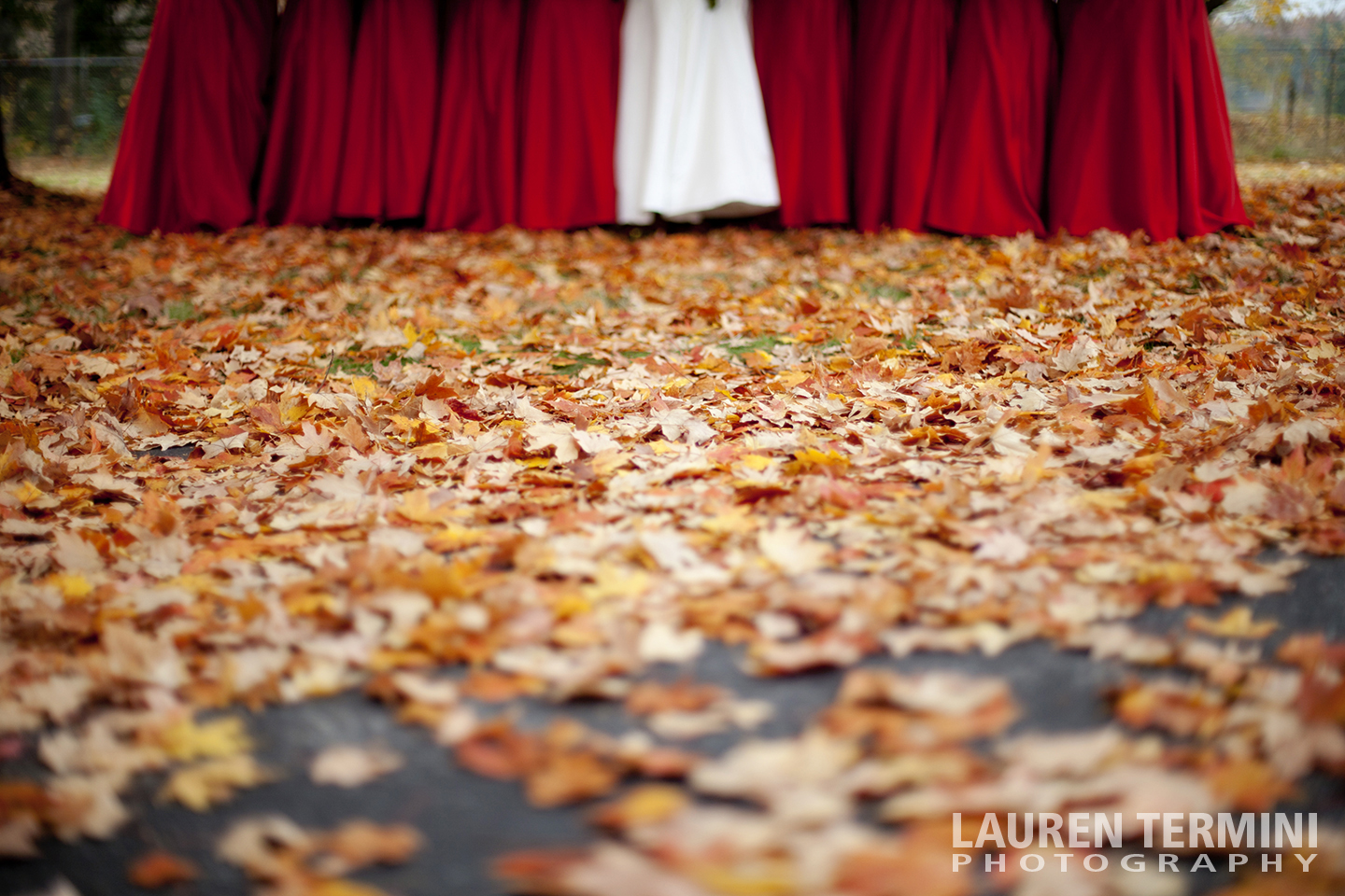 Lauren Termini Photography: Katie & James - October 27, 2012