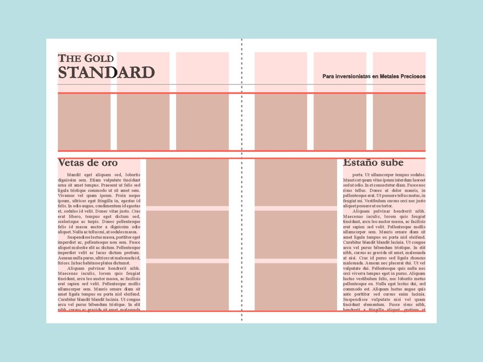 ¿Que son las Retículas?