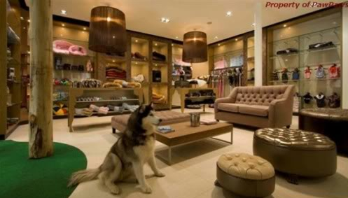 jutawan paling pelik di dunia | permata DUNIA