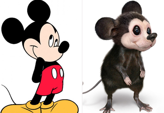 Veja como seriam os personagens de desenho animado em forma realista ...