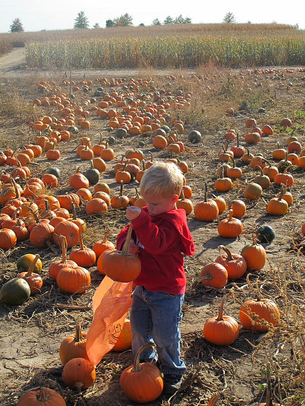 Gigglesandgumballs: Fall fun at Roca Berry Farm!