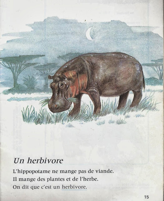 Leçons de choses: L'hippopotame
