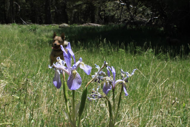 Out There: New Glass