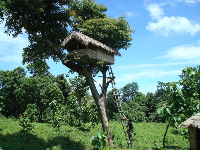 Balphakram National Park - Alchetron, the free social encyclopedia