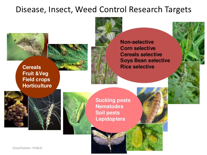 Nature and Farming: Low-external Input Rice Production - Chapter 3 ...