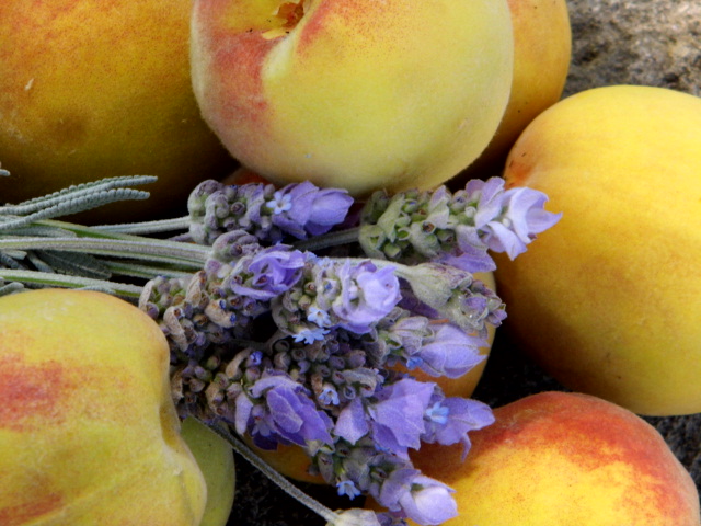 One Mother Hen: Peach sponge pudding and lavender custard