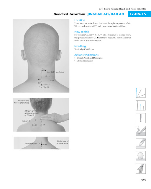 Acupuncture Masters: Acupuncture Points Database - Extra Points
