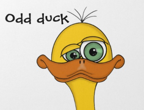 Flight Plan: An odd duck....