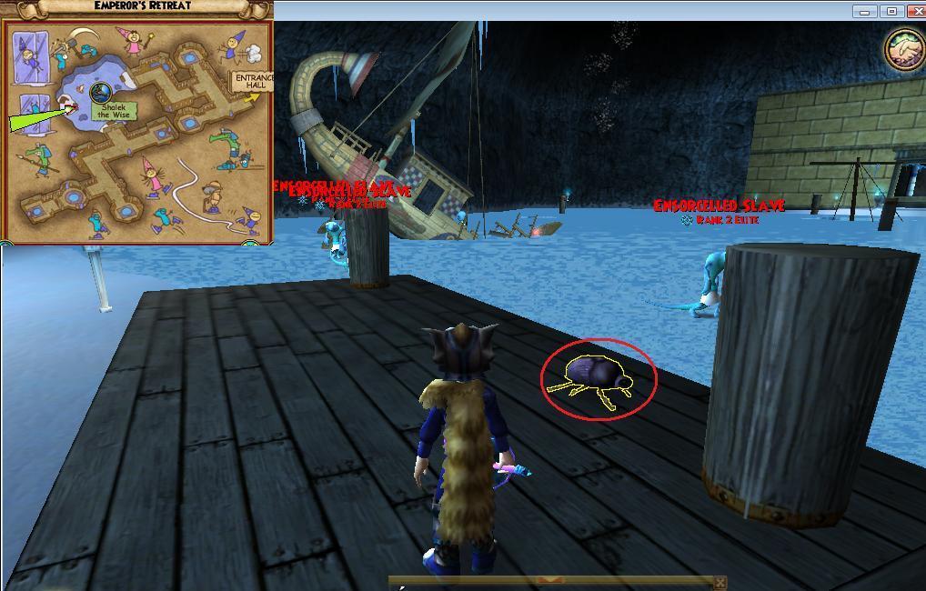 Wizard 101 - Fun Finds