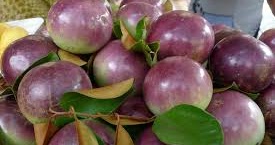 Naturally Perfectsss: BUAH SUSU EPAL