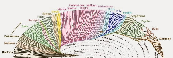 BioTalks@Swansea: Biosciences Seminar Speaker - 05 December 2013