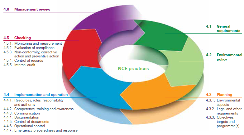 Visible Business: Nestle. Managment cycle.