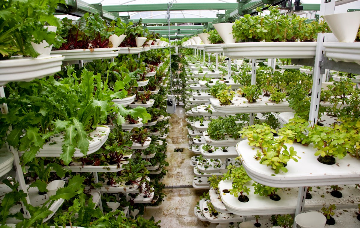 La naturaleza en casa: Granjas verticales existentes