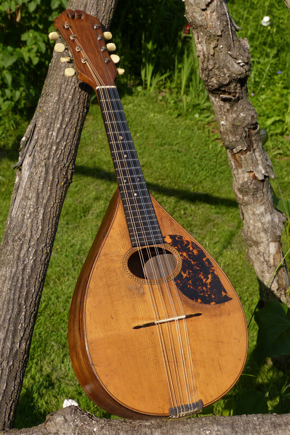1914 Martin Style B Flatback Mandolin