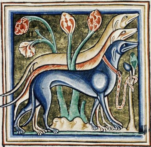 Dogs from the Middle Ages: belkomor — LiveJournal
