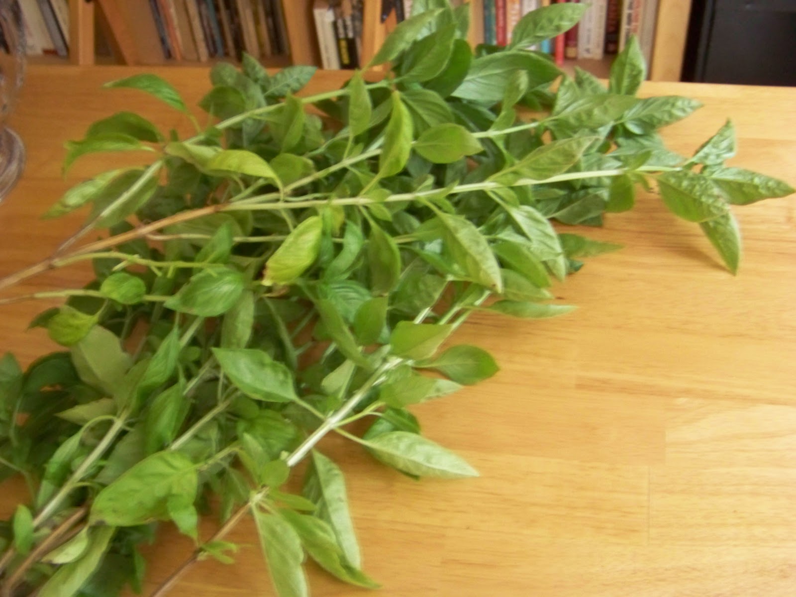 Tora's real food: Holy basil, Batman! What can you do with this herb?