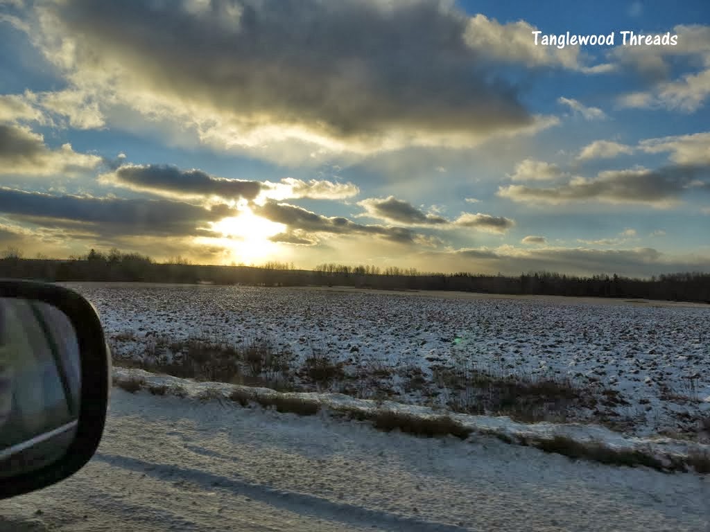 Tanglewood Threads: The Colours Before a Winter Storm