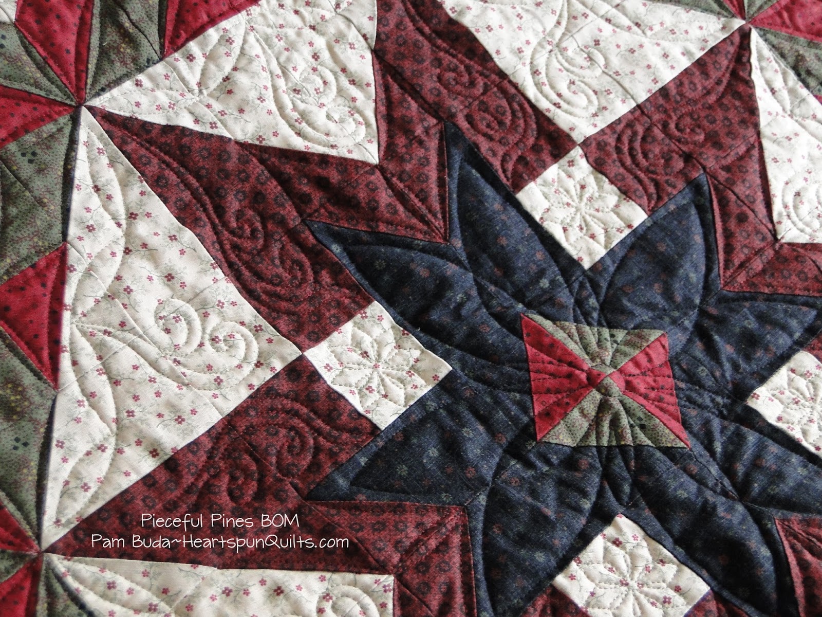 Heartspun Quilts ~ Pam Buda: Pieceful Pines Quilted