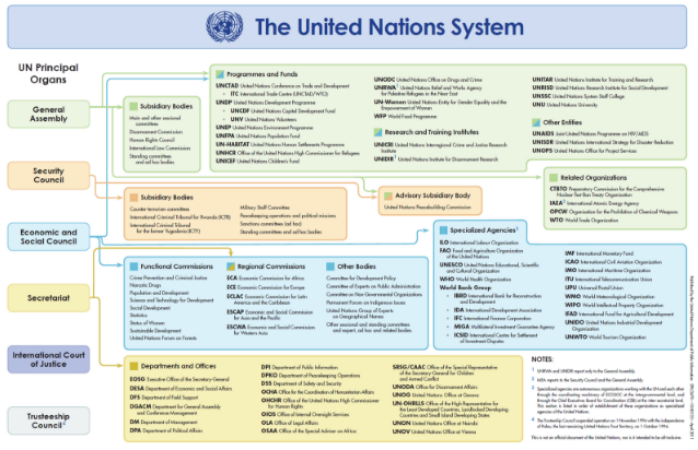 THE MAIN REQUIREMENTS OF UN - United Nation Organisation